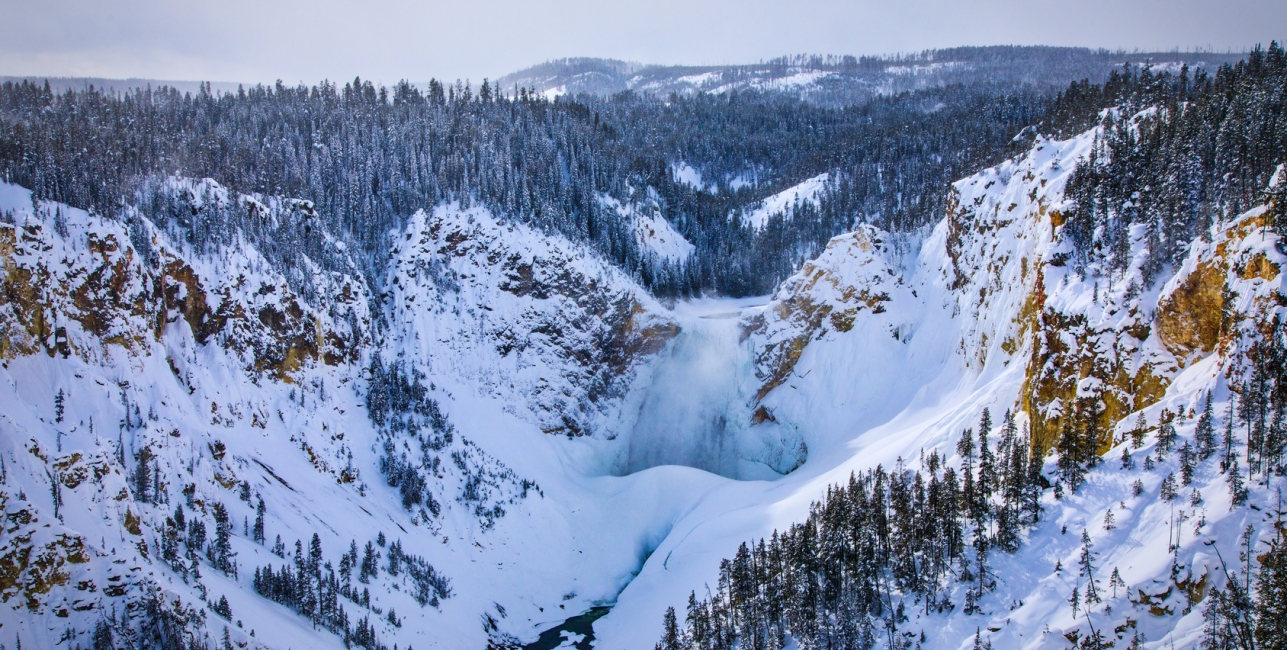 Yellowstone in the Winter | Amtrak Vacations®